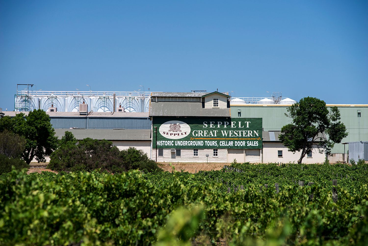 Seppelt Wines